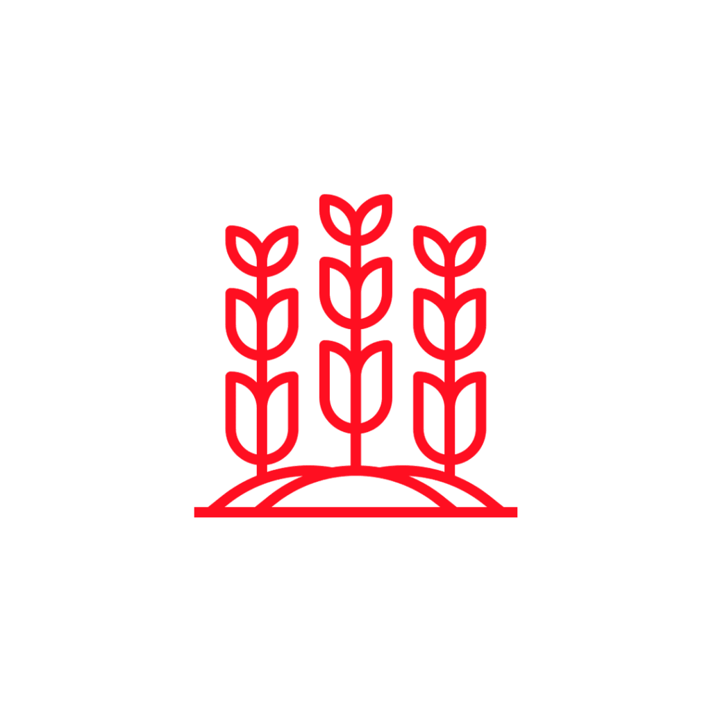 Servicios – Mopec Security